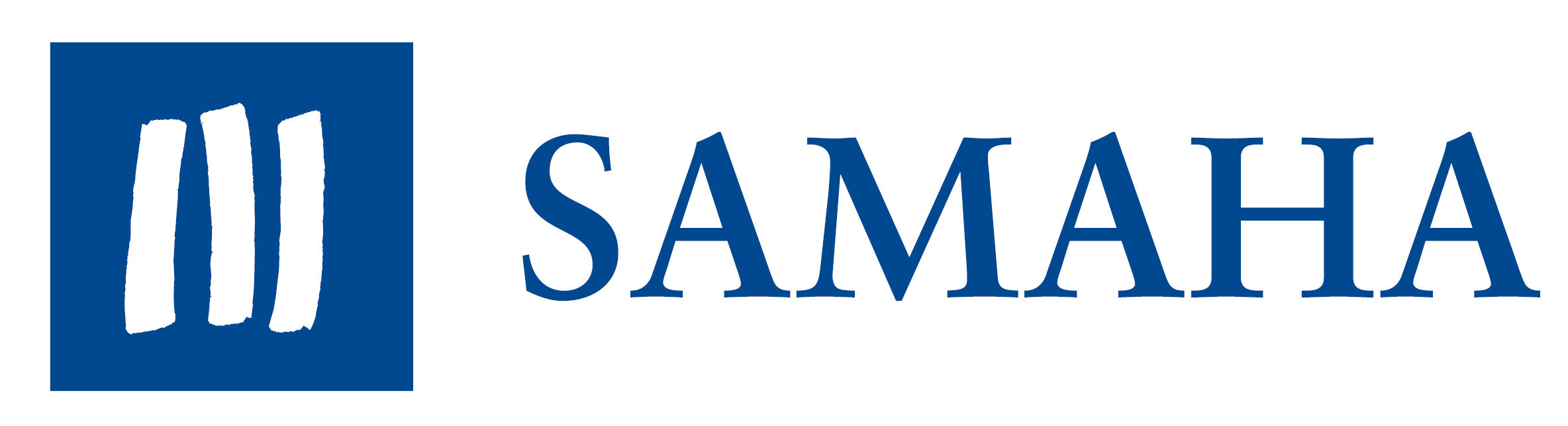 Sponsorships - Congressional School